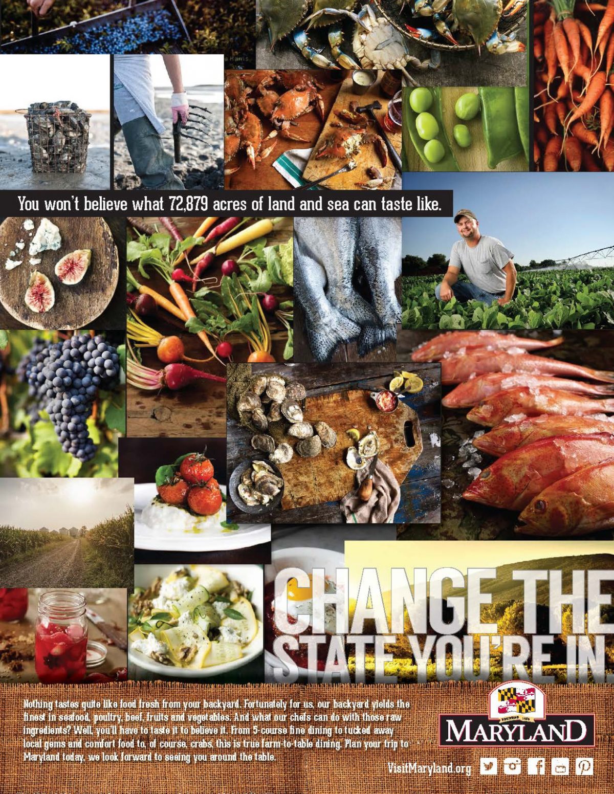 Maryland Tourism – Print – Elizabeth Griffith